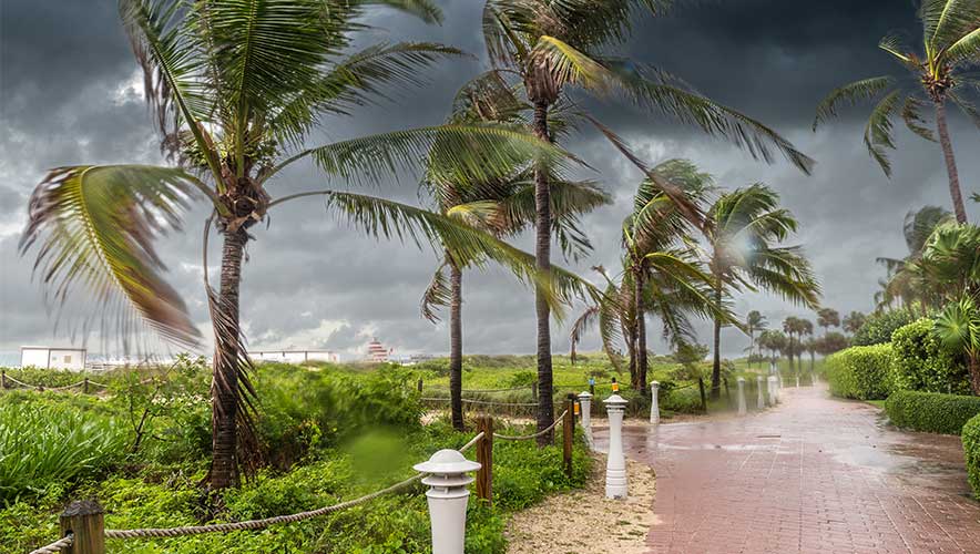 AI’s Potential as a Natural Disaster Preparedness Tool