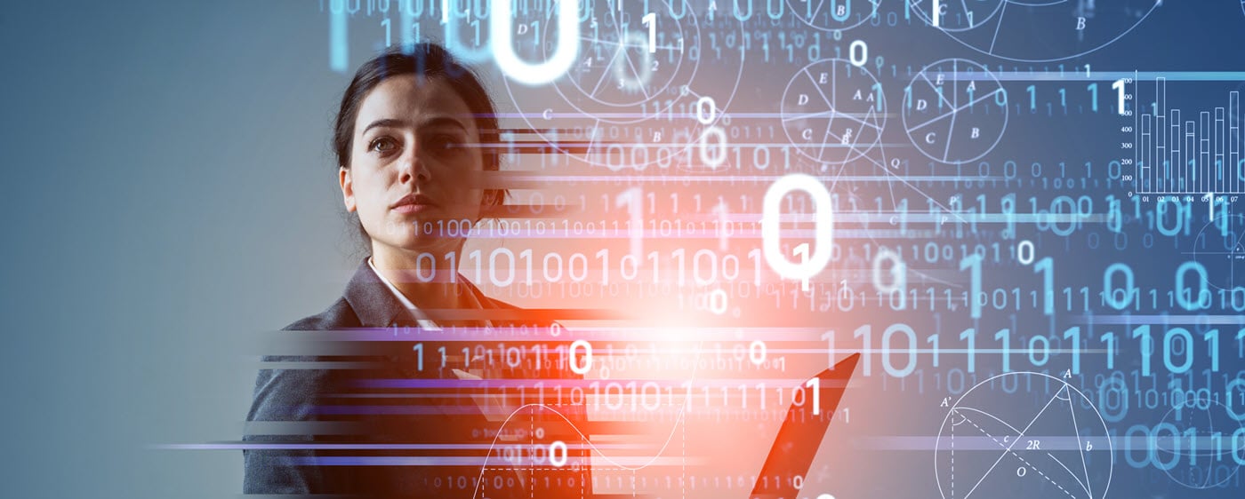 Senior Security Executive